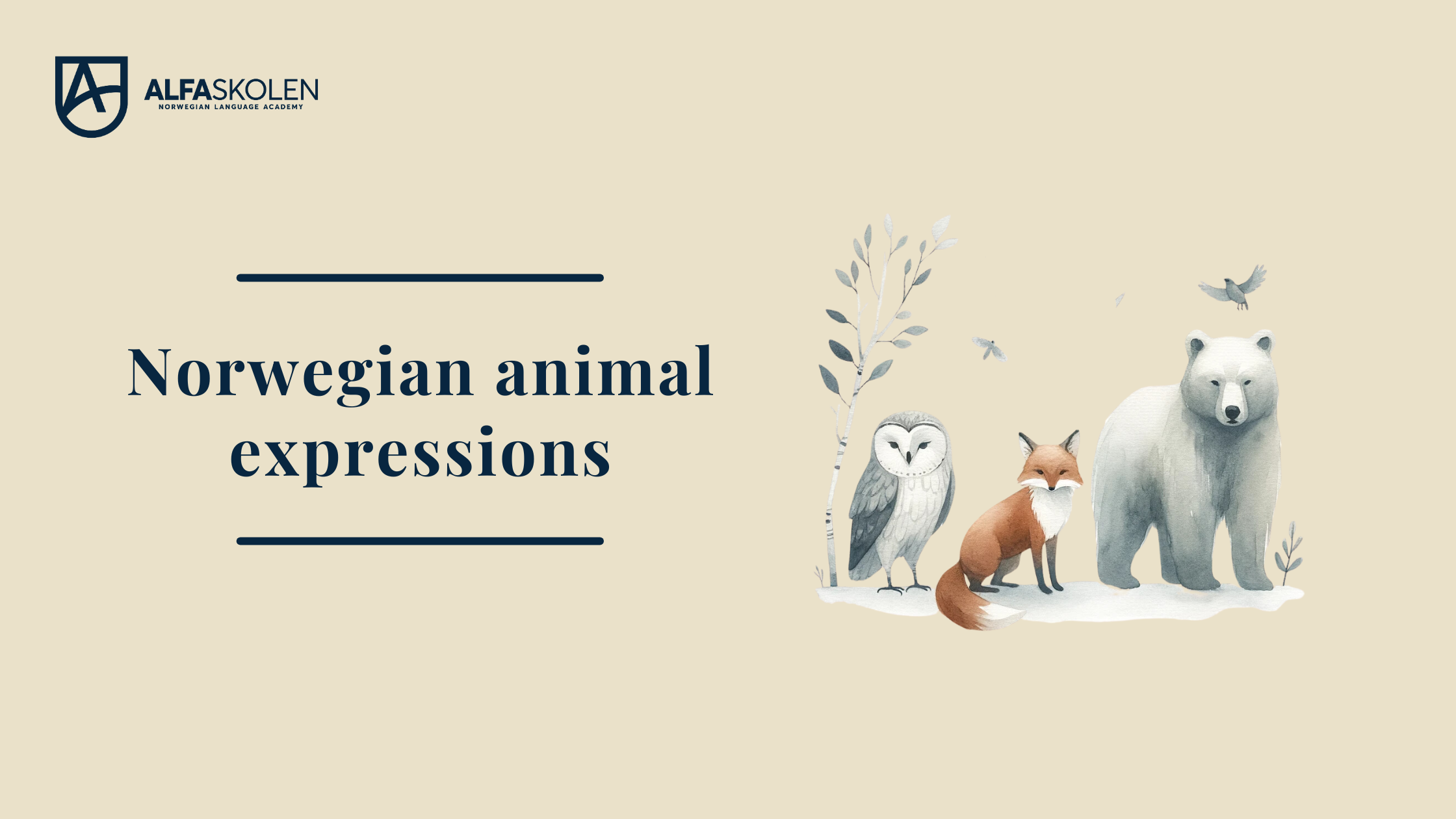 Norwegian Animal Expressions - Alfaskolen