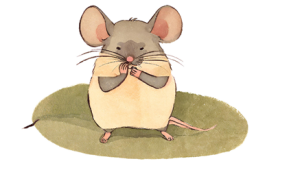 Norske dyremetaforer - Alfaskolen